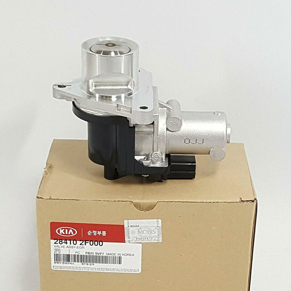 Kia Carnival / Sedona 2.2L Diesel 2010+ Genuine 284102F000 EGR Valve 1 ...
