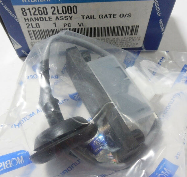 2010-2012 KIA CEED Genuine TAIL GATE OUTSIDE HANDLE 812602L000 – motorialkorea.com